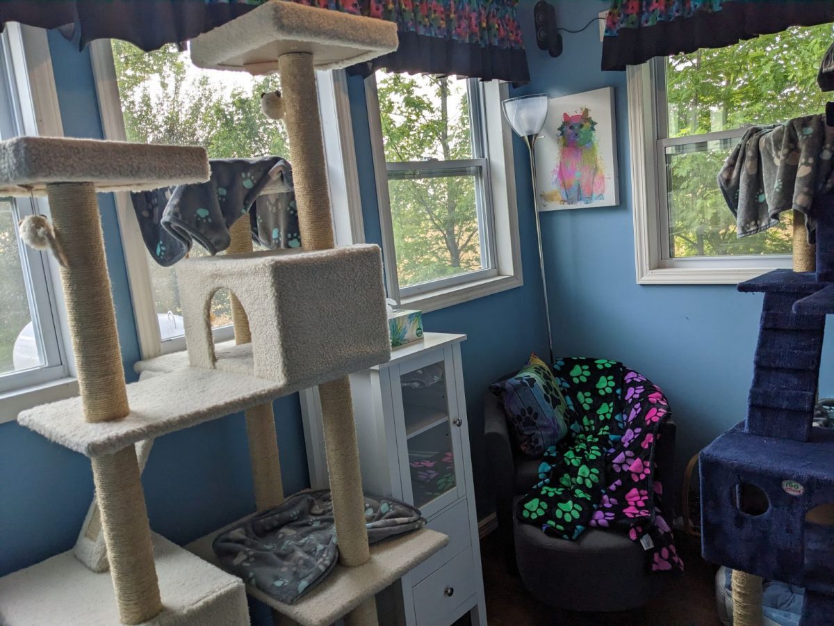 The Cat's Meow Country Inn